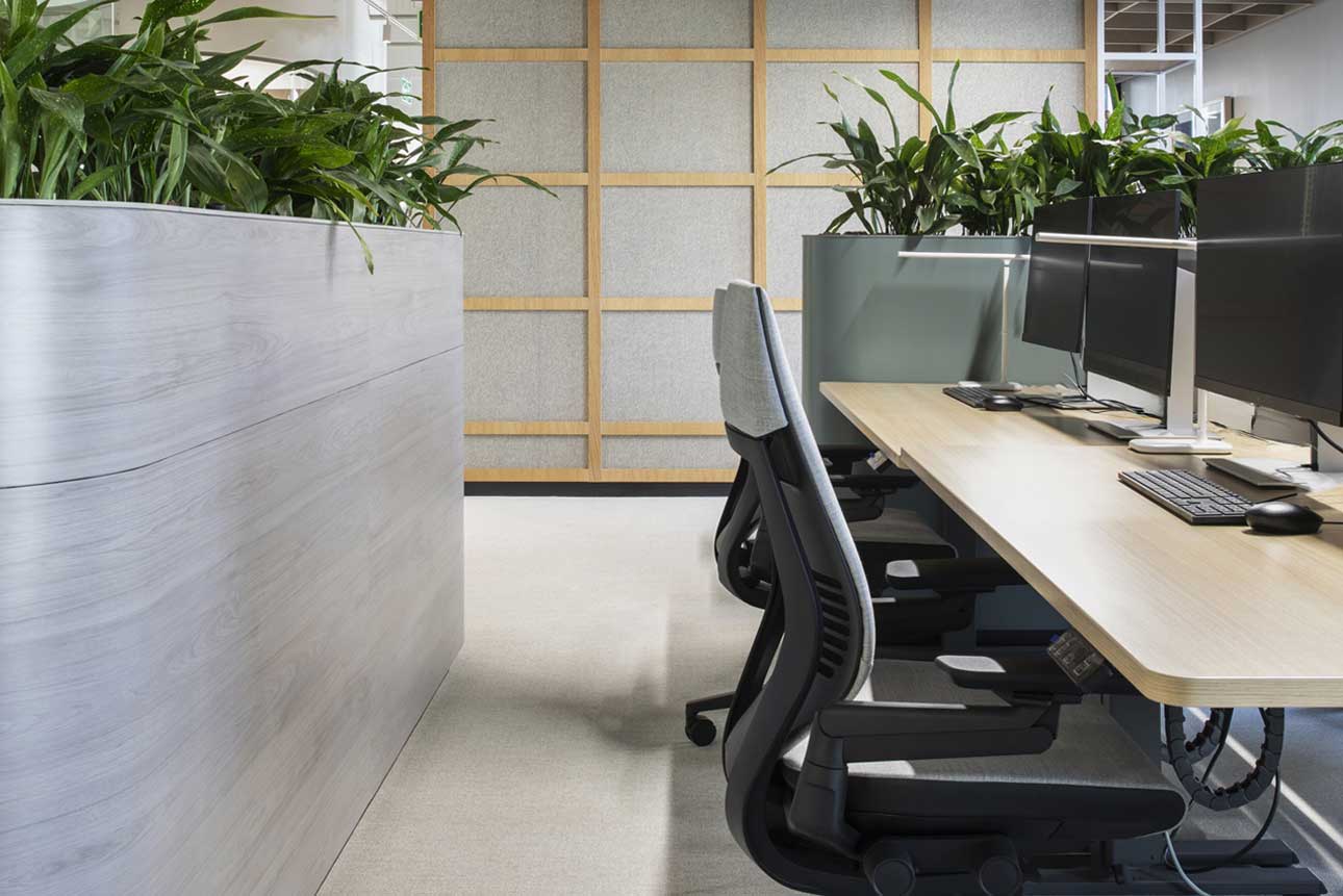 Workspace Analysis & Consultancy | Trend Group